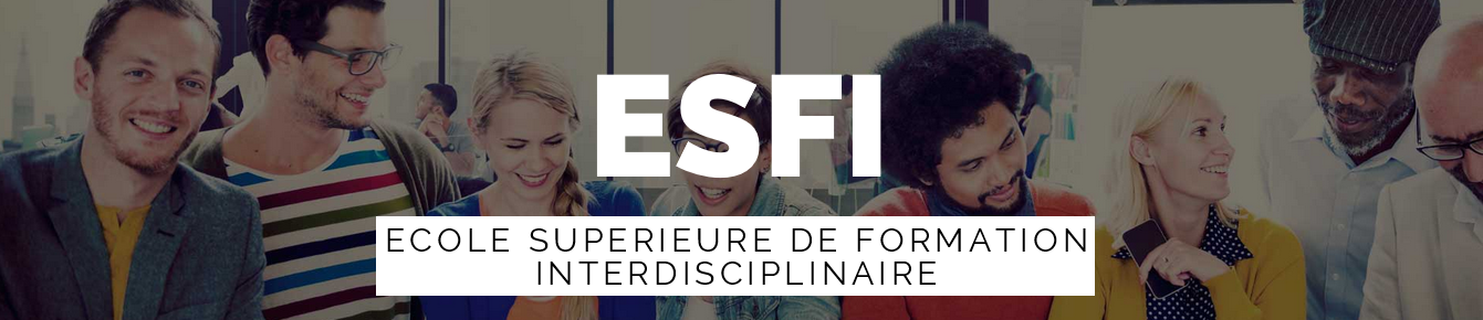 Les thèmes de cours - ESFI